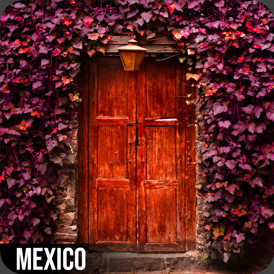 Mexico City and San Ángel – Joseph Walton Photography